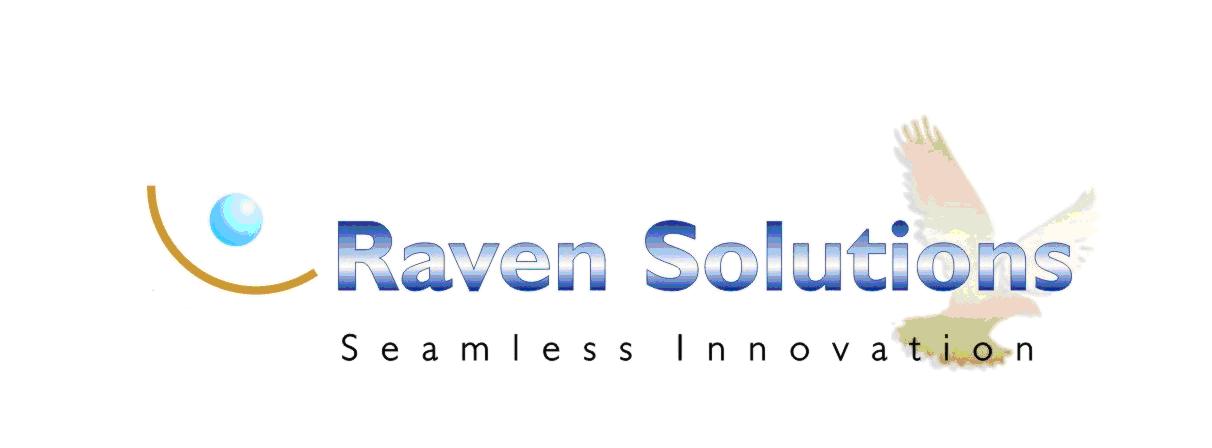 Raven Solutions – Seamless Innovation